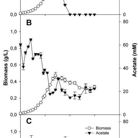 Growth And Metabolite Production Of A E Coli Bw25113 Wild Type And