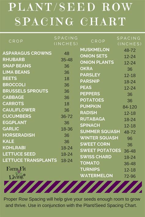 Vegetable Garden Layout Plans And Spacing