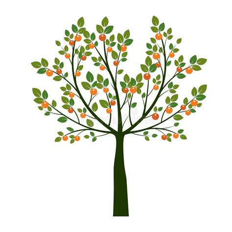 Green Tree With Leaves On White Background Vector Illustration Stock