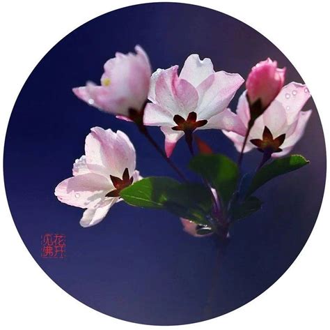 何以解忧，唯有“杜康”？酒精