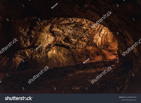 Giant Cave Spider Dwarf Fortress