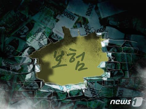 1분기만에 연간 실적 76 달성보험사 새 회계기준 논란 가열 뉴스1