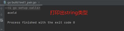 Golang Reflect Json