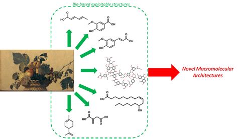 A Quantum Of Matter 22022023 Bio Based Macromolecular Architecture How To Treasure Natural