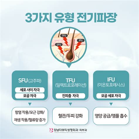 20 30 현대인들의 탈모 방치하면 안됩니다 뷰티컬럼 강남더뷰티 성형외과
