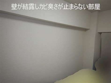 【埼玉県入間市】結露でカビ臭い部屋 ブログ 埼玉の防カビ工事なら「有限会社プレモ」