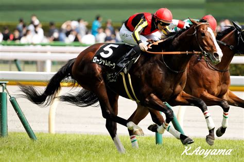 函館記念 競馬情報ハミ受け良好