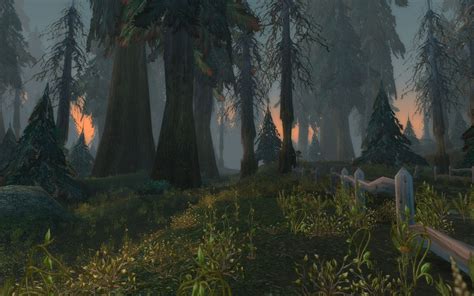 Silverpine Forest