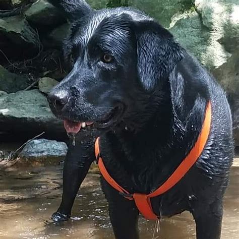 Patrick Groft Youtube