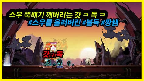 메이플스토리 갓 불독 스우 뚝배기 까기 진스비 Youtube