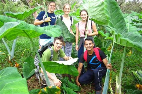 Environmental Humanities Torch The Oxford Research Centre In The