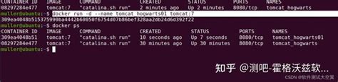软件测试深入解析docker Run命令：创建和启动容器的完全指南 知乎