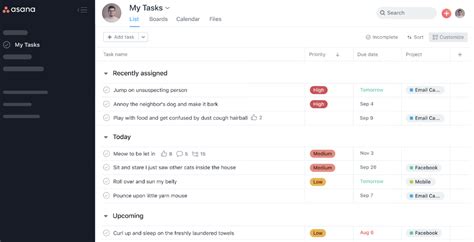 Make Way For Custom Fields In My Tasks Product Updates Asana Forum