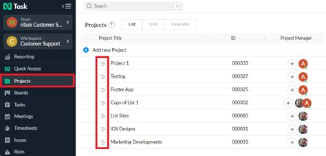 Project Gantt View NTask Support