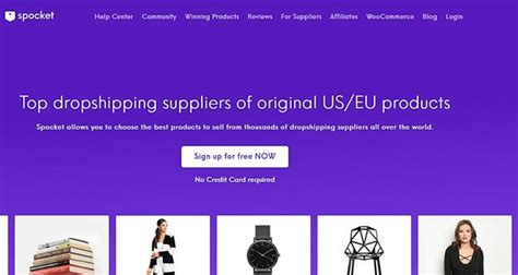 Spocket Reviews Prices And Features