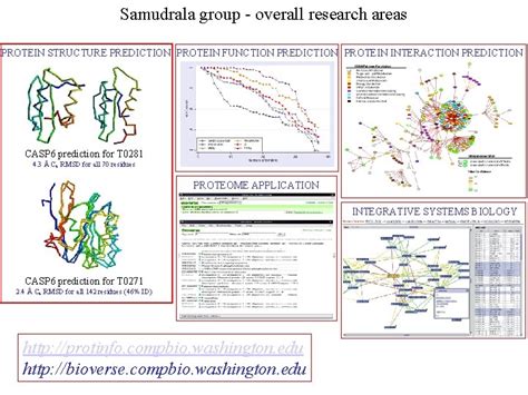 Samudrala Group Overall Research Areas Protein Structure Prediction