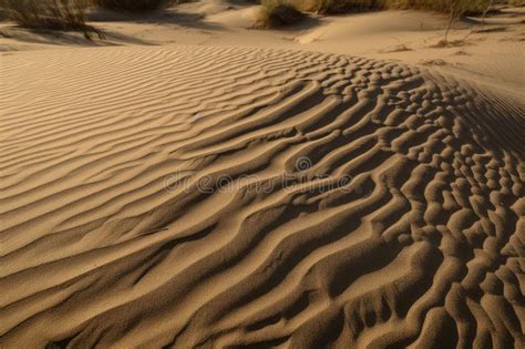 Close Up Of Sand Dune With Intricate Patterns Stock Illustration