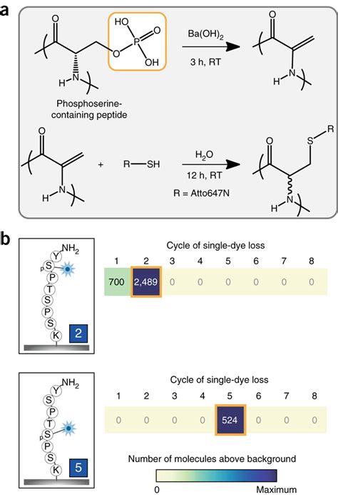 Direct Single Molecule Sequencing Of Phosphoserine Positions Within Rna Download Scientific