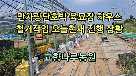 만차랑단호박 육묘장 하우스 철거작업 오늘 현재 진행상황 Youtube