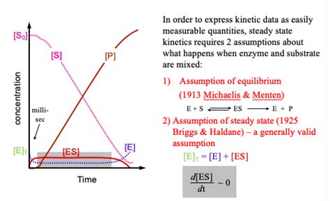 Lecture Enzyme Kinetics Flashcards Quizlet