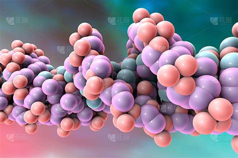 Dna的双螺旋结构