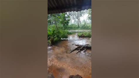 മഴ ഒരു അനുഗ്രഹം ആണ് അൽഹംദുലില്ലാഹ് ബുദ്ധിമുട്ട് ആക്കരുത് 😒🤲viralvideo