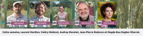 Ouverture Du Mooc Botanique Les Plantes Et Leurs Usages Tela