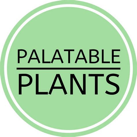 Palatable Plants Youtube