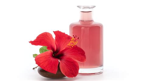 benefícios do chá de hibisco para a saúde do corpo humano
