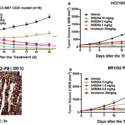 In Vivo Efficacy Of The Skb264 Treatment Two Tailed Paired T Test