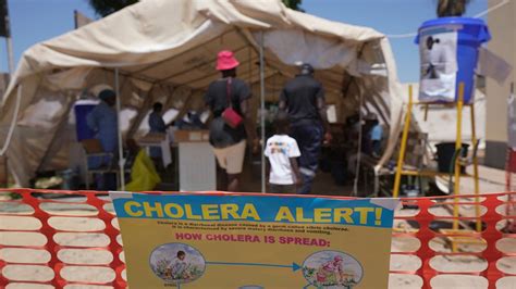 Who Approves Updated Cholera Vaccine To Combat Surge In Cases Fox News