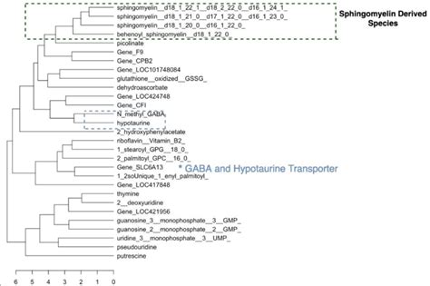 hierarchical clustering cluster 1 prioritized biomolecules