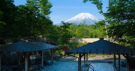 Mount Fuji With Onsen Hot Springs Tour Musement