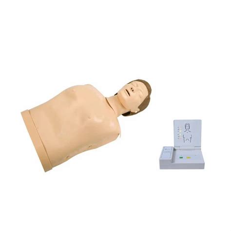 Dt Medical Training Equipment Cpr Mannequin Adult At Rs 117000 In