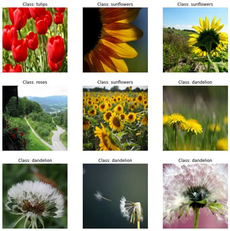 github juliuswiscmsba flower classification with tf