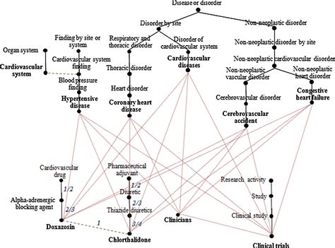 a semantic graph based approach to biomedical summarisation