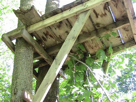 Tree Stand Plans Artofit