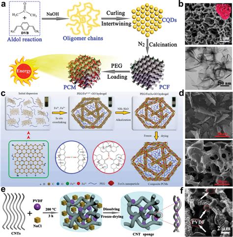 Plants‐like Structure Porous Confinement A Schematic Illustration Of