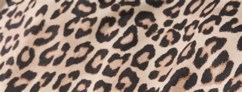 Ming Wang Ming Wang Added A New Photo