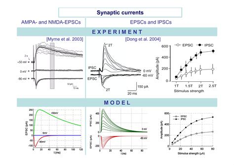 Hierarchy Of Visual Cortex Models Pdf Home Entertainment Systems
