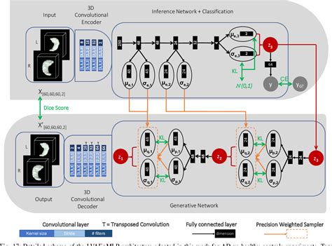 figure 17 from explainable anatomical shape analysis through deep hierarchical generative models