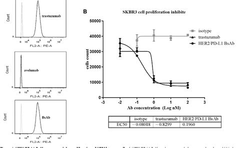 Figure 4 From A Bispecific Antibody Targeting Her2 And Pd L1 Inhibits