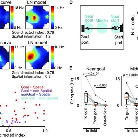 Goal Directed Behavior Determines The Place Selective Firing Of