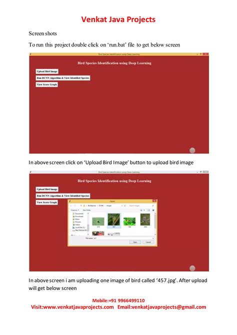 Bird Species Identification Using Deep Learning Docx Birdwatching