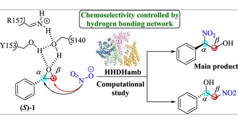 Origin Of Chemoselectivity Of Halohydrin Dehalogenase Catalyzed Epoxide Ring Opening Reactions