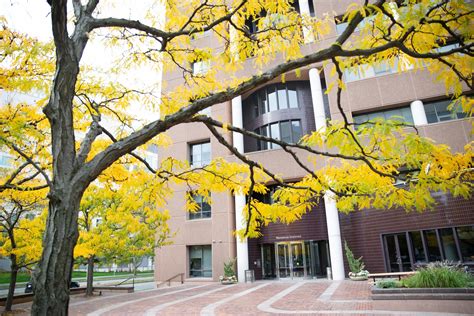 Whitehead Institute Builds Scientific Bridges To Advance Human Health