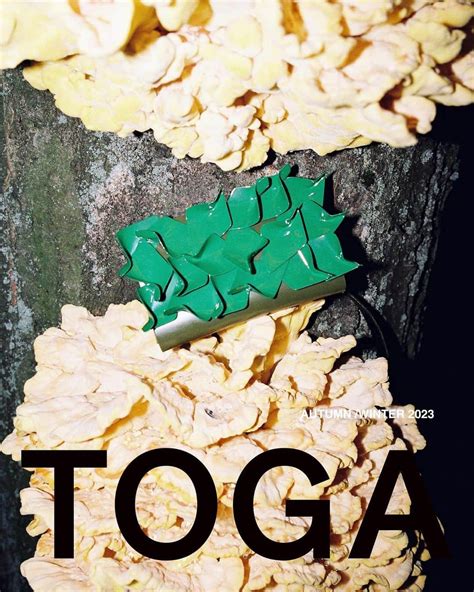 Togaさんのインスタグラム Togatogaarchives
