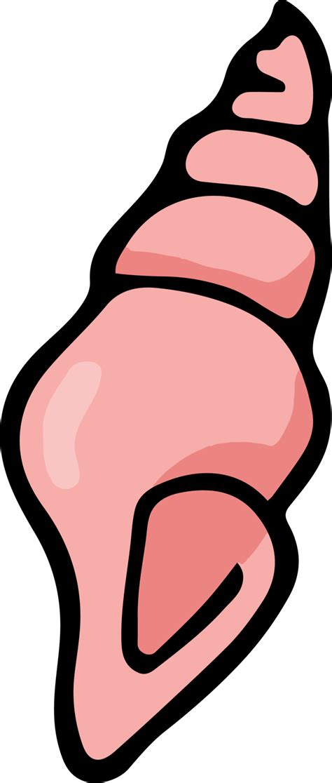 Pastel Peach Conch Shell Illustration Symbol 53110708 Png