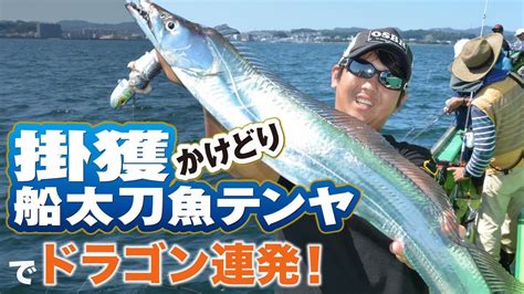 東京湾でドラゴン連発！そして大阪湾での91テンヤタチウオロッドのメリット、デメリット タチウオマニア
