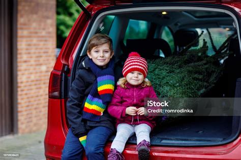 사랑스러운 어린 유아 소녀와 가족 차 안에 크리스마스 트리와 학교 아이 소년 전통적인 축하를 위해 큰 Xmas 나무를 구입 겨울 패션 의류에 행복한 건강한 아이들 자동차